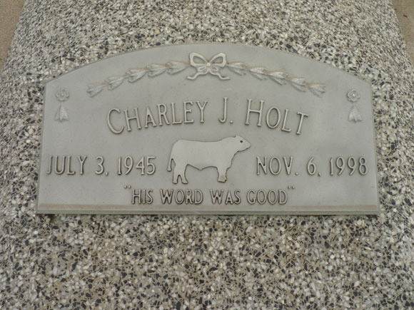Holt, Charley J. - Arnold Cemetery